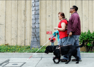 Protruding Objects Abadi Access